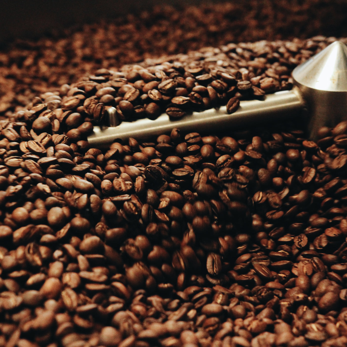 Wholesale Coffee Bean Supplier & Bulk Coffee Roaster – Mothership ...