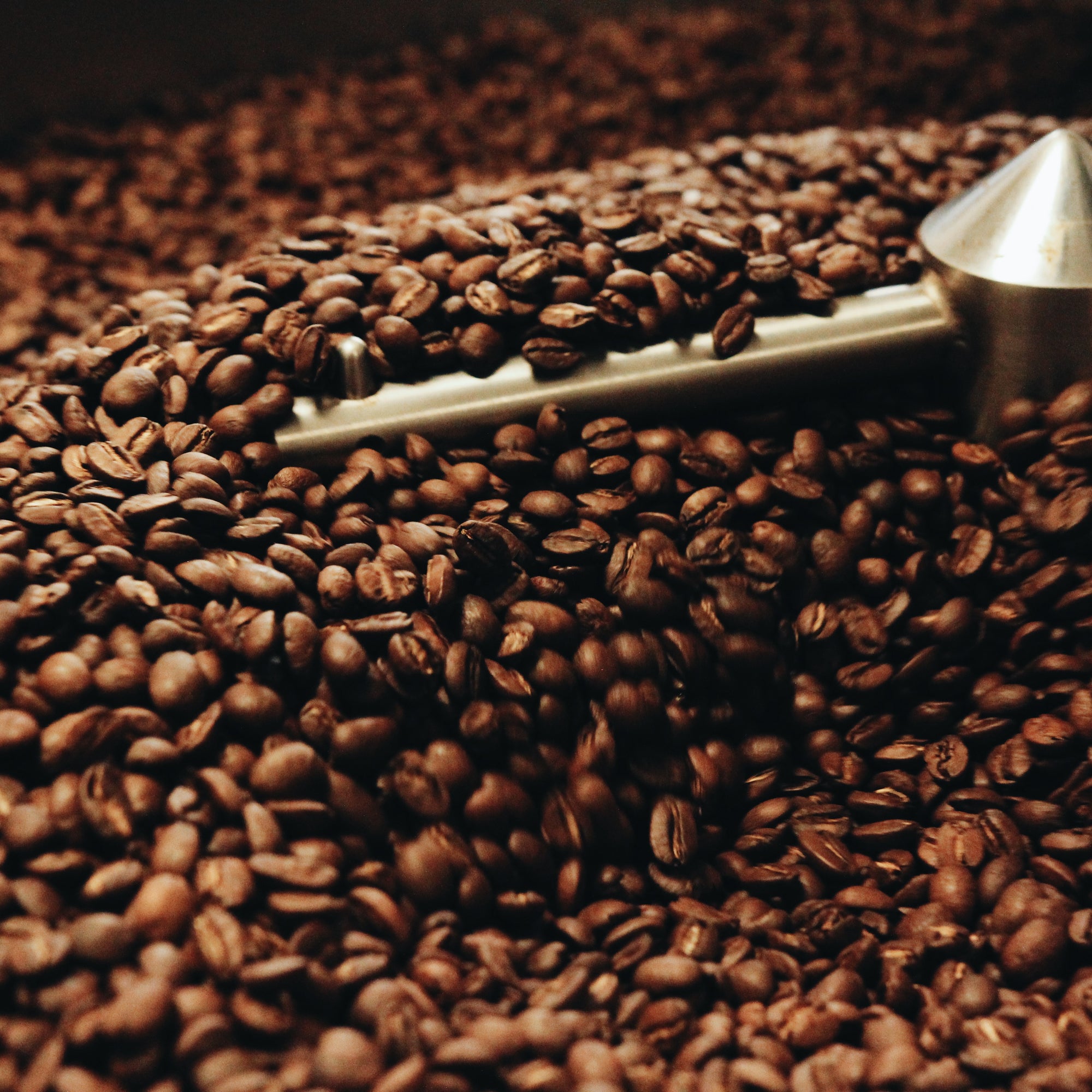Wholesale Coffee Bean Supplier & Bulk Coffee Roaster – Mothership ...
